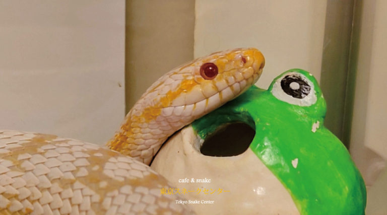 東京スネークセンター – – cafe & snake – Tokyo Snake Center